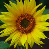 JC Henry Universe – This is about writing and not writing, you know life.