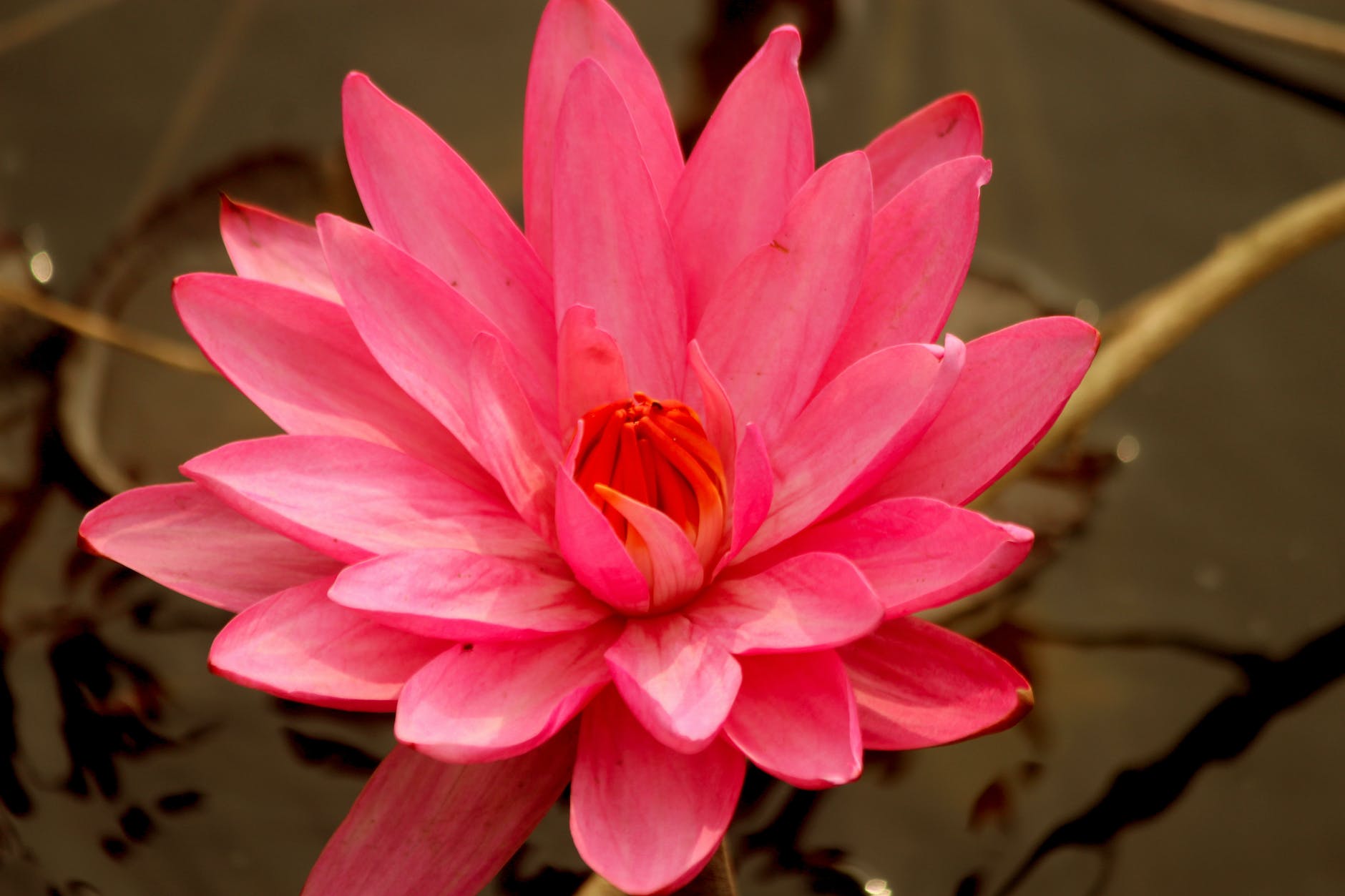 Quotes for Writers #285 – JC Henry Universe